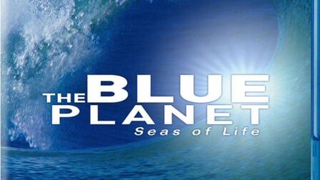 [BBC][蓝色星球][The Blue Planet][S01EP01][1080p] - 影音视频 - 小不点搜索